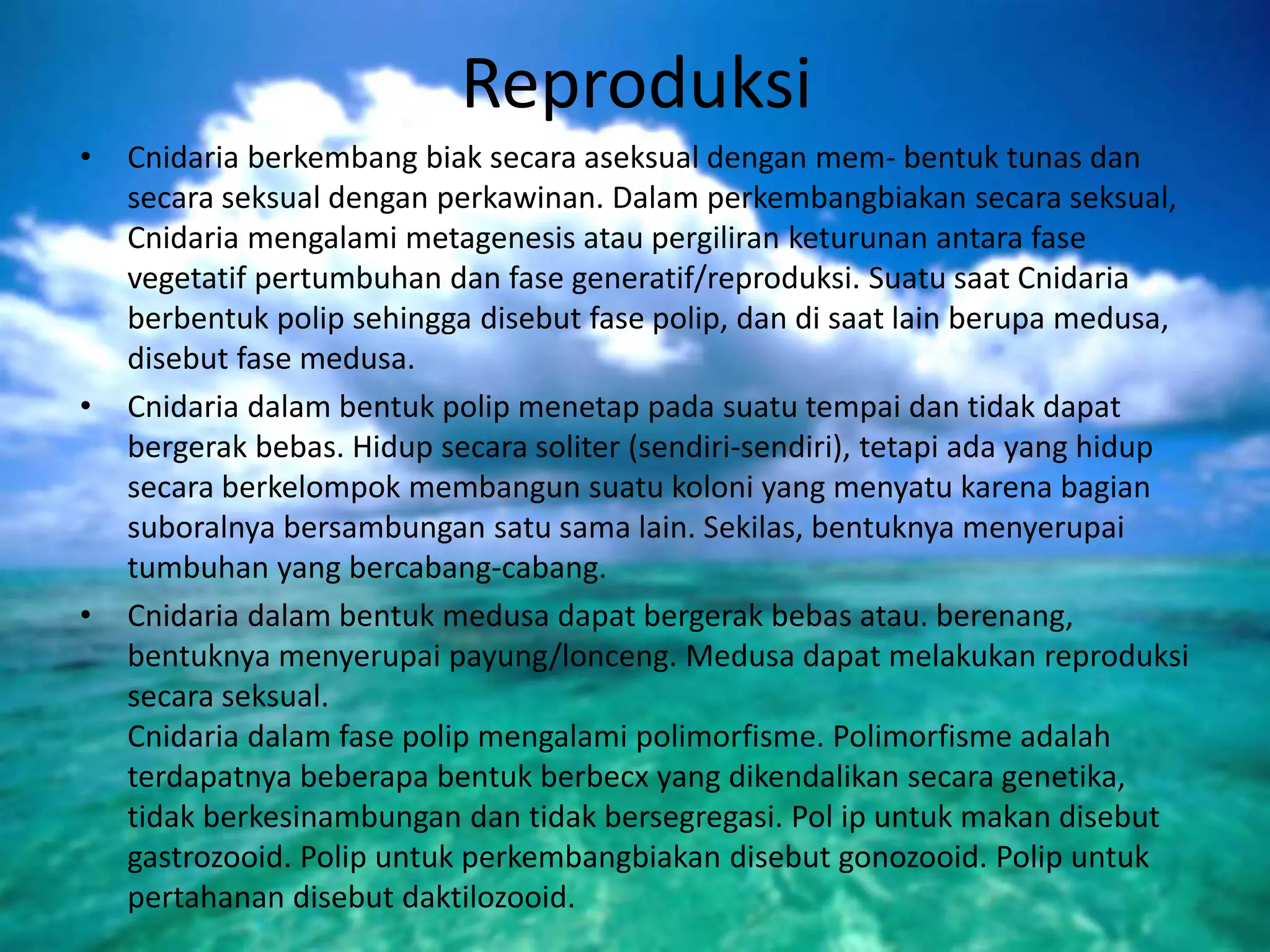 coelenterata (cnidaria) shintt's | PPTX