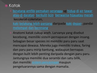 Tugas biologi (coelenterata & amfibi).ppt