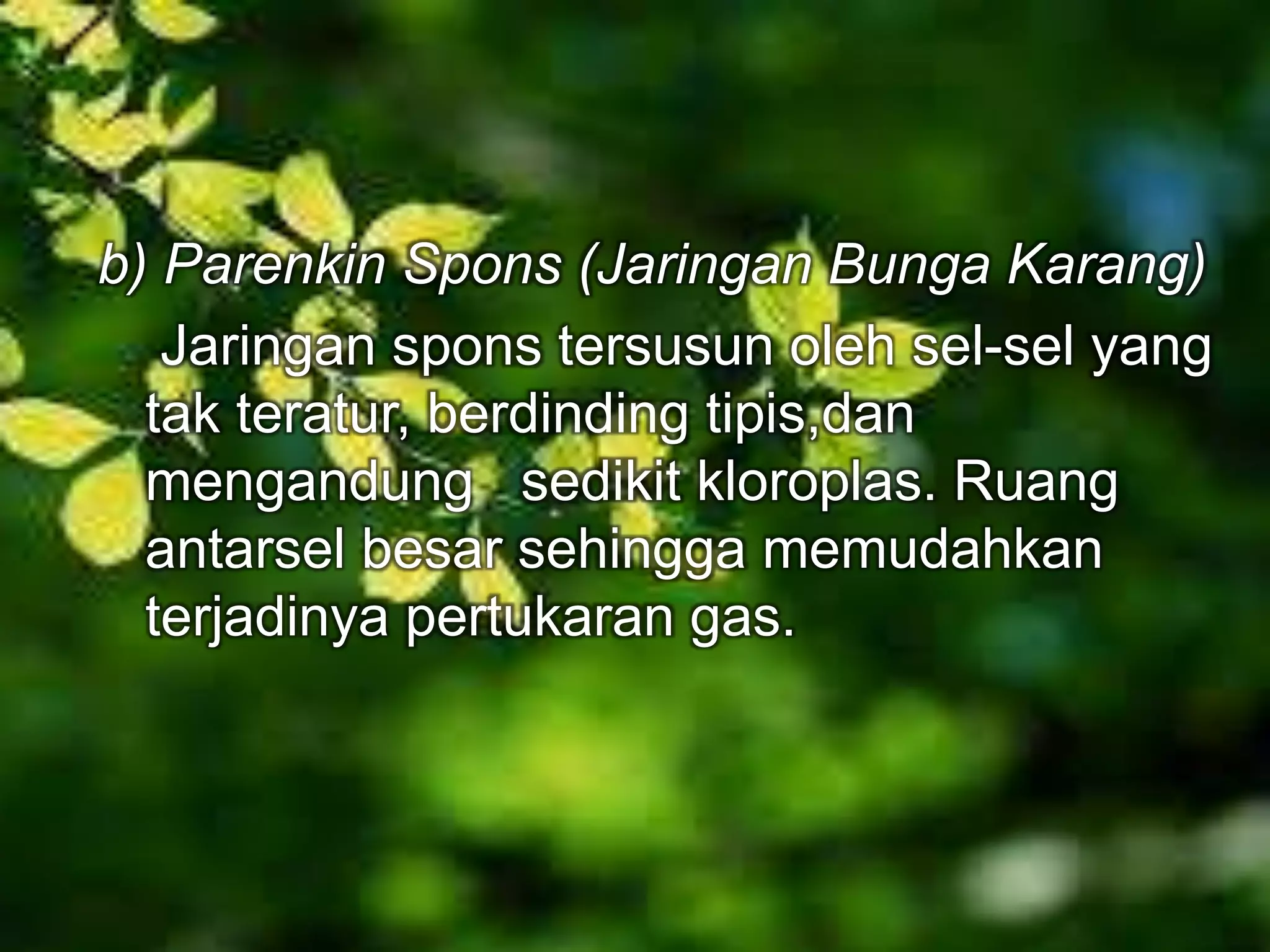 Tugas biologi DAUN | PPTX
