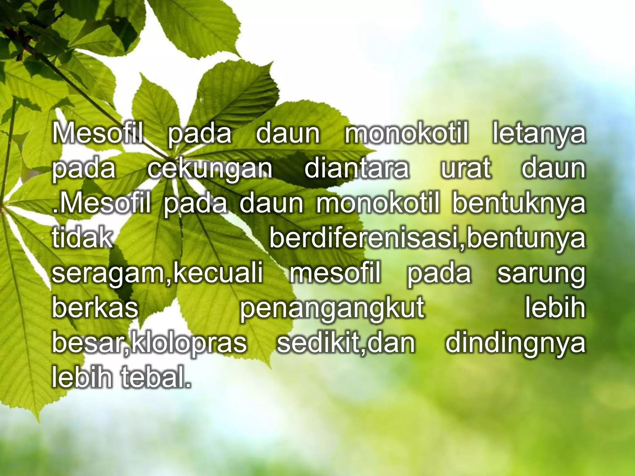Tugas biologi DAUN | PPTX