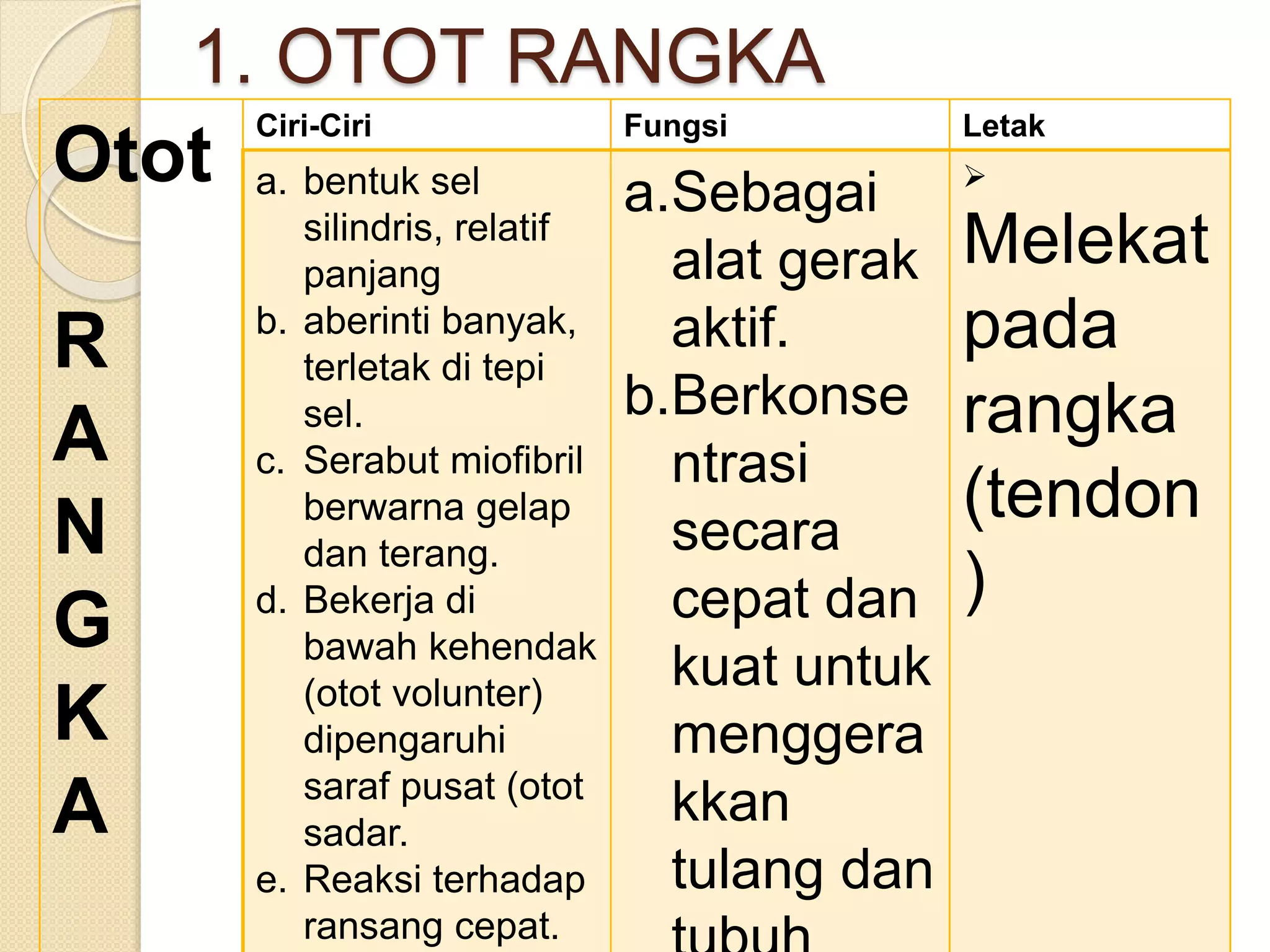 SMA XI IPA JARINGAN OTOT HEWAN | PPTX