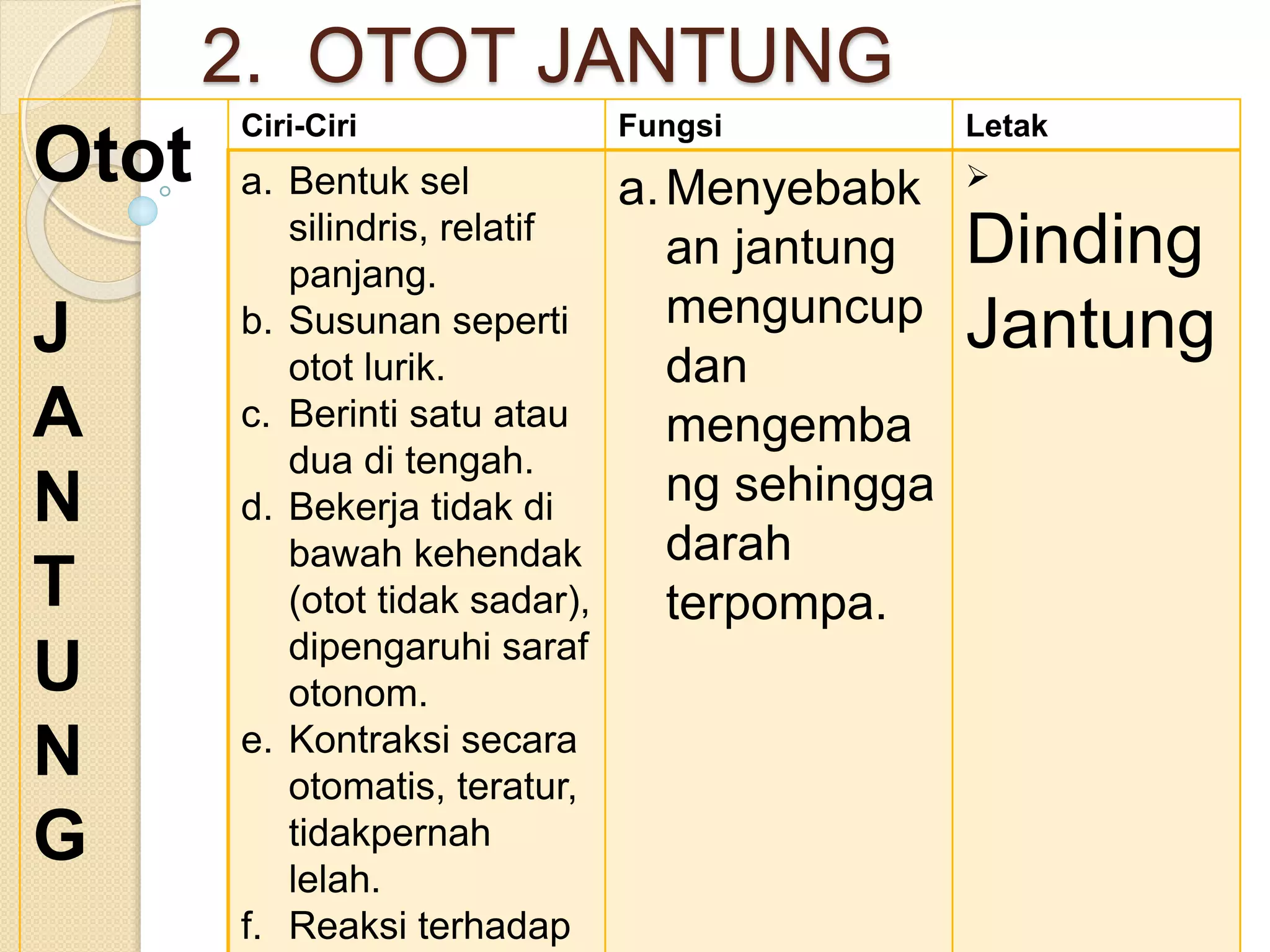 SMA XI IPA JARINGAN OTOT HEWAN | PPTX