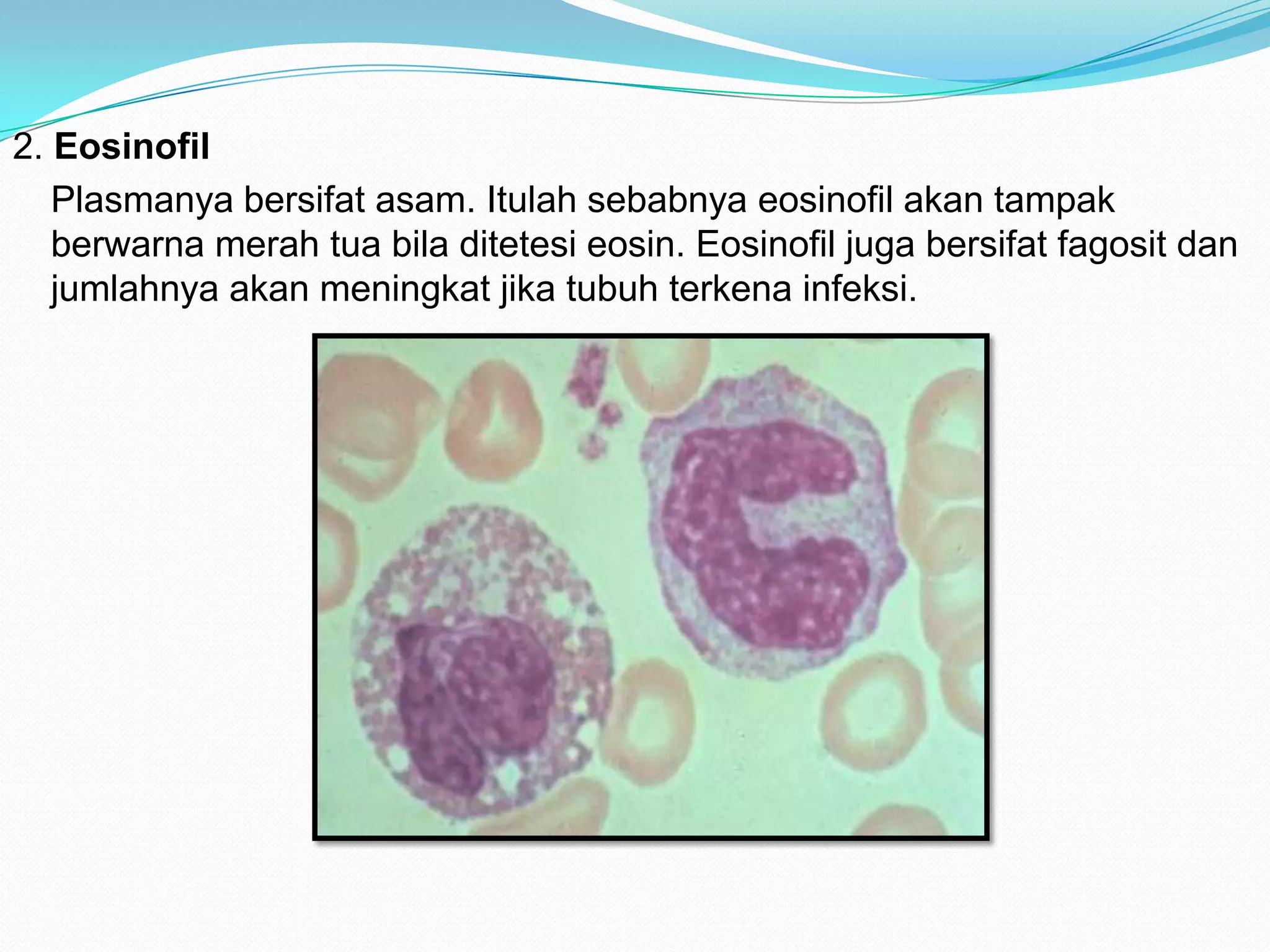 Sistem Kekebalan Tubuh Manusia | PPTX