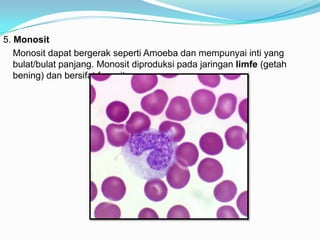 Sistem Kekebalan Tubuh Manusia | PPTX