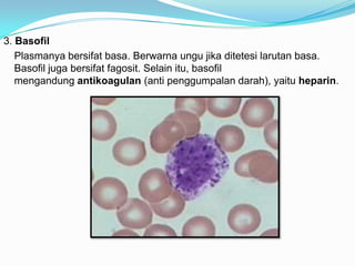 Sistem Kekebalan Tubuh Manusia | PPTX