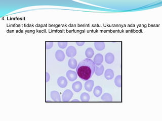 Sistem Kekebalan Tubuh Manusia | PPTX