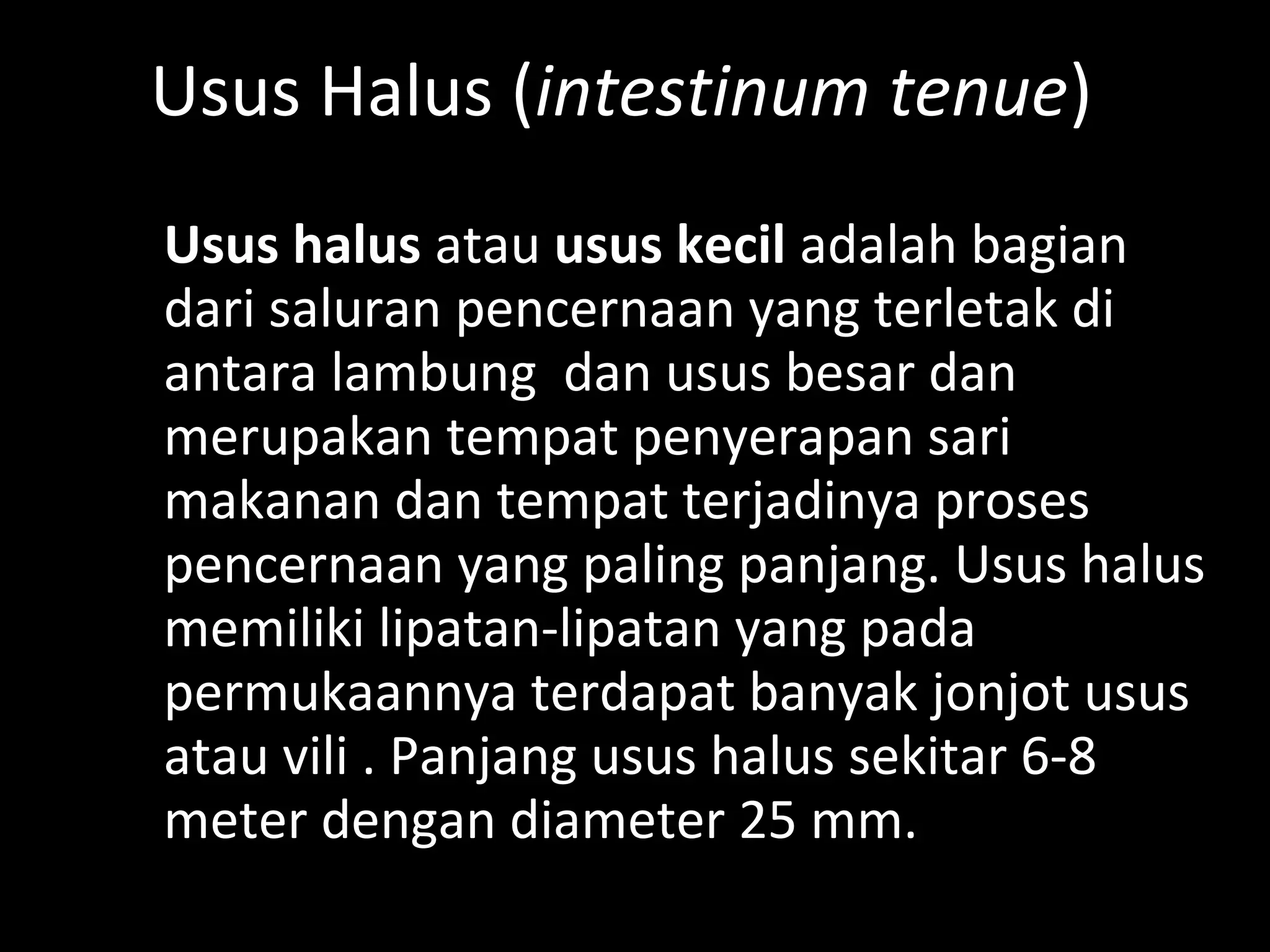 sistem pencernaan bagian usus halus | PPT