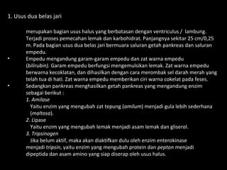 sistem pencernaan bagian usus halus | PPT