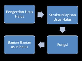 sistem pencernaan bagian usus halus | PPT