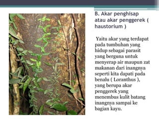 Tugas biologi power point | PPT
