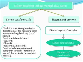 sistem saraf | PPT