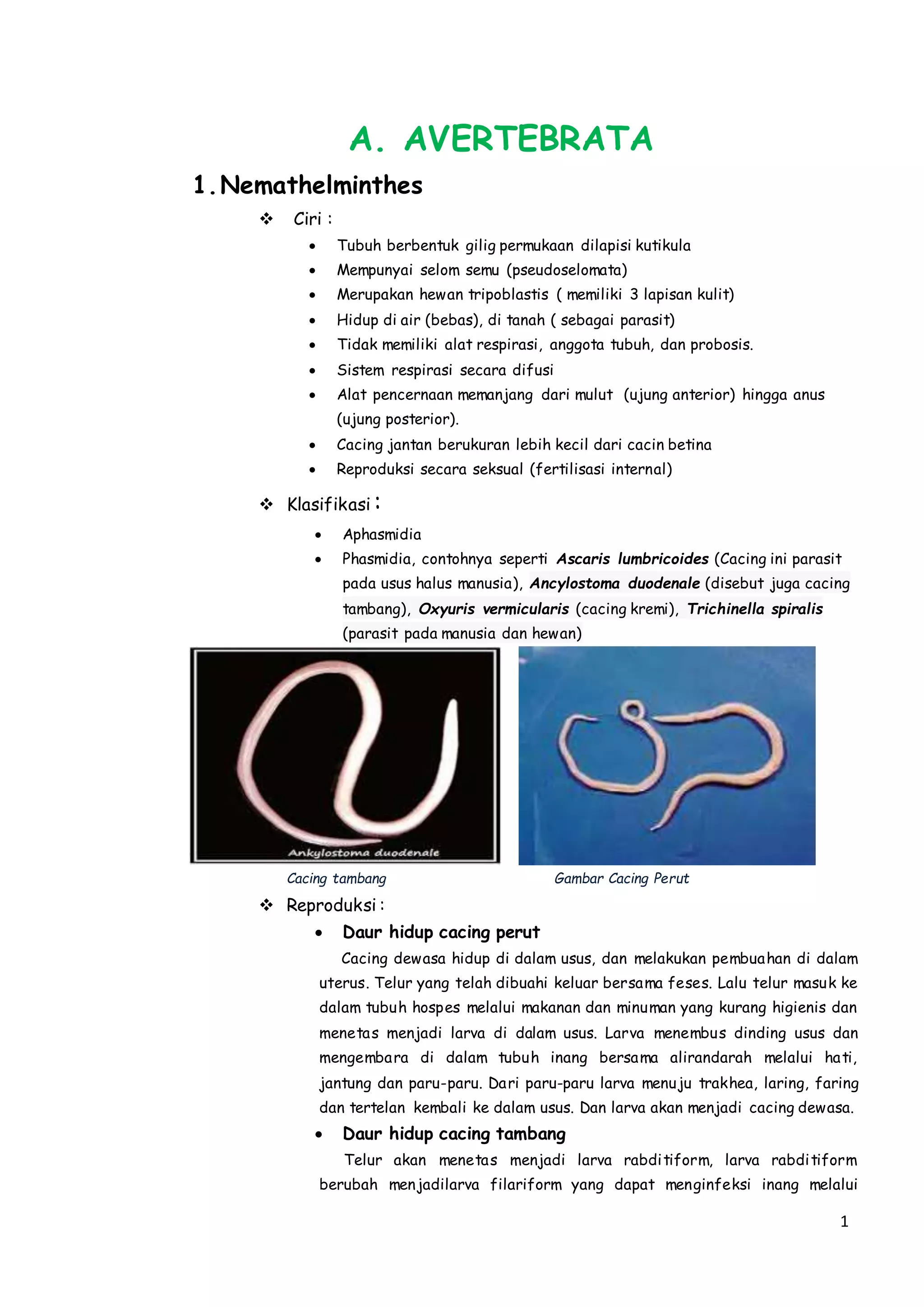 biologi, animalia (kelas X) | DOCX