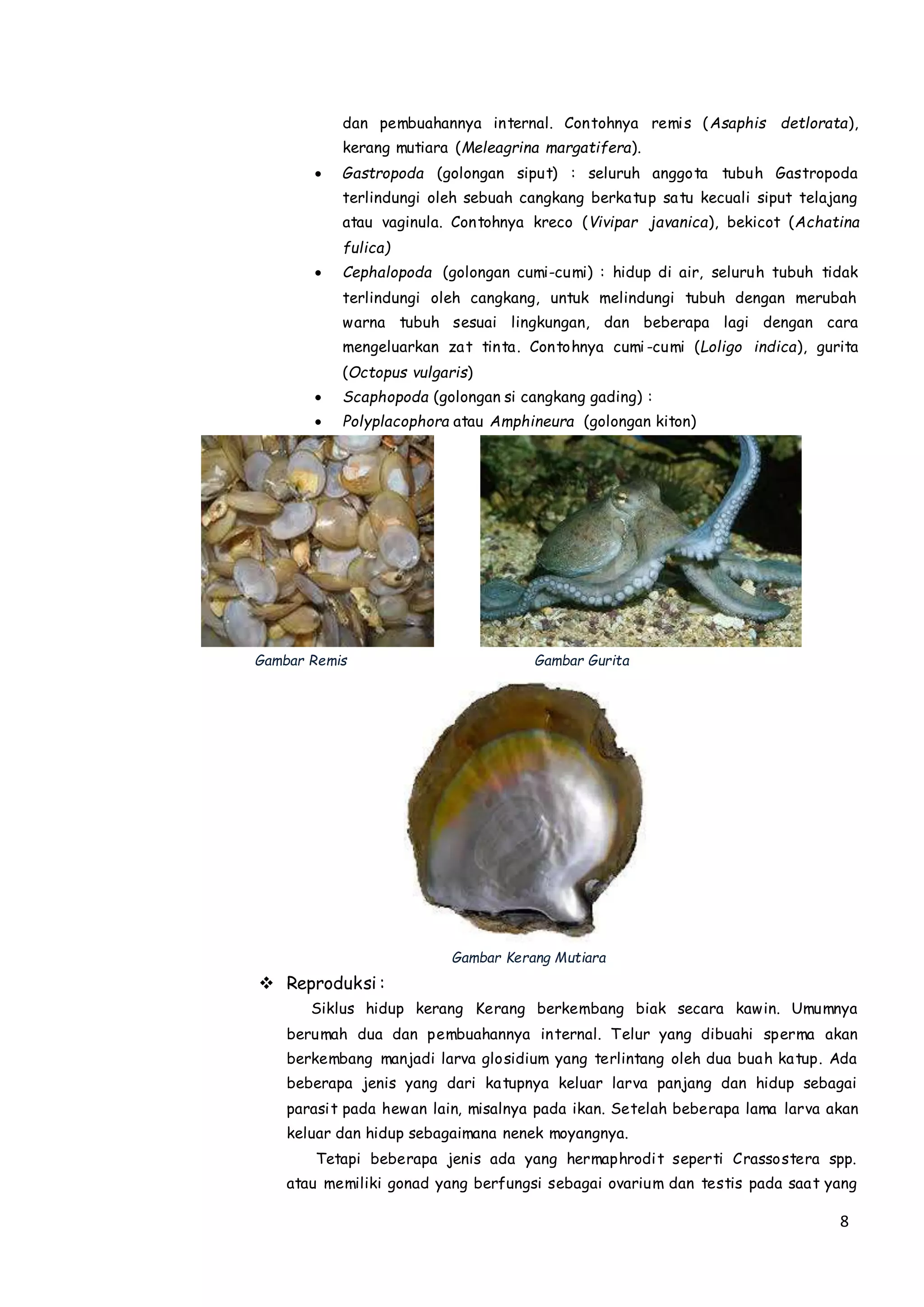 biologi, animalia (kelas X) | DOCX