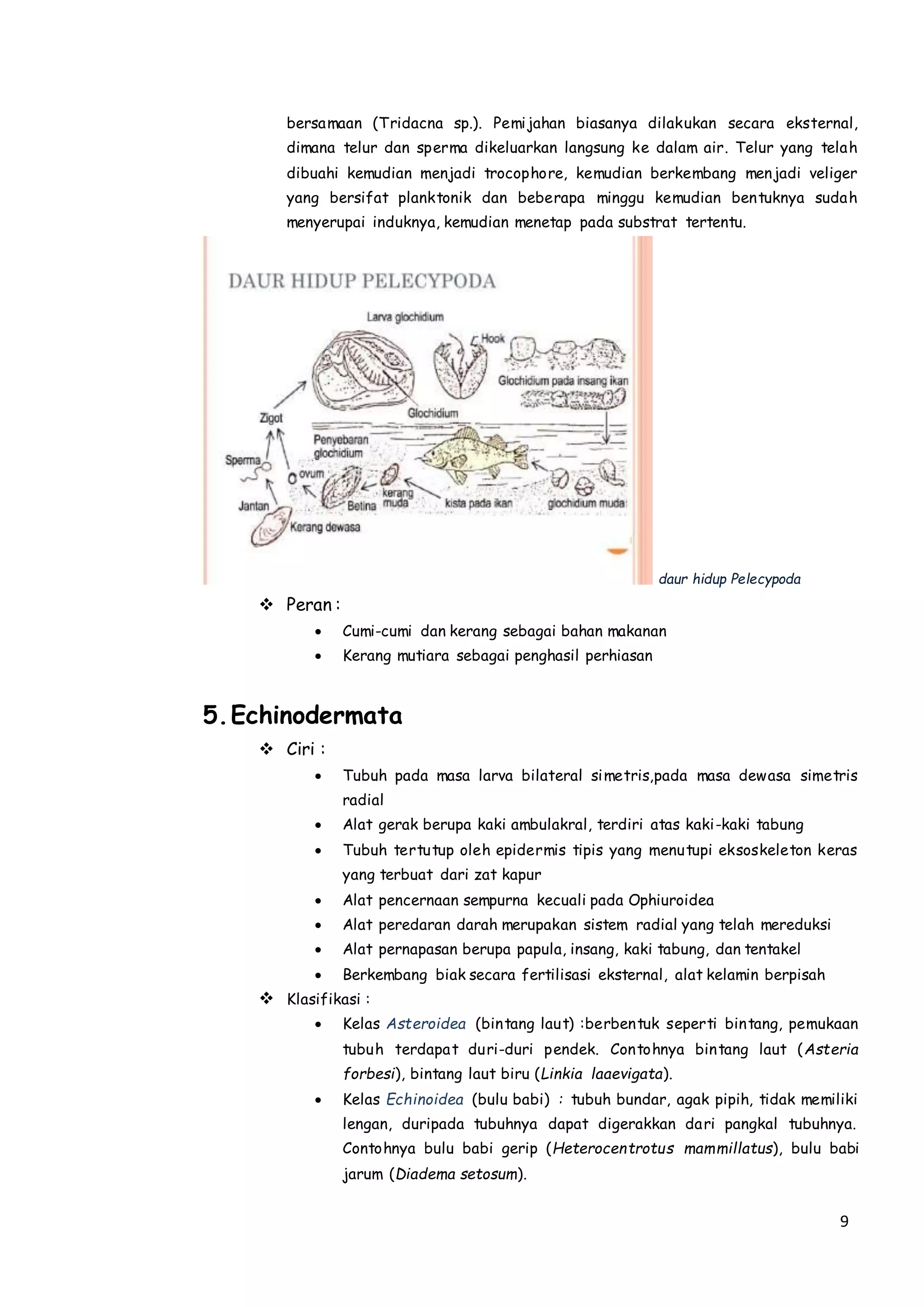 biologi, animalia (kelas X) | DOCX