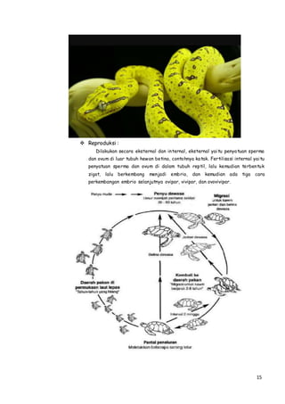 biologi, animalia (kelas X) | DOCX