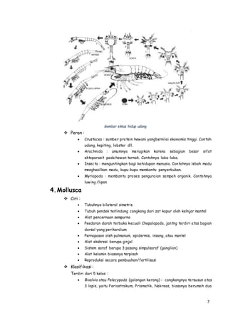 biologi, animalia (kelas X) | PDF