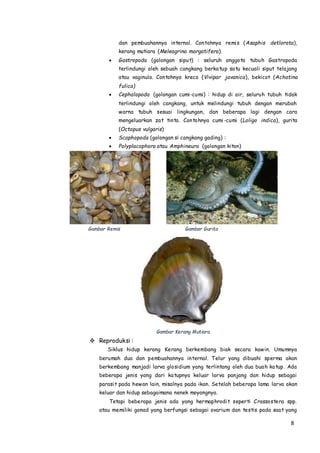 biologi, animalia (kelas X) | DOCX