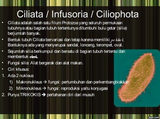 Biologi Protista | PPT