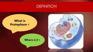 Introduction to Protoplasm | PPTX
