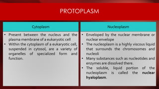 Introduction to Protoplasm | PPTX