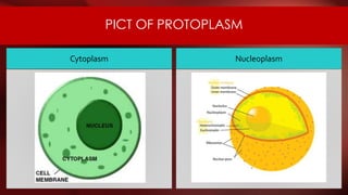 Introduction to Protoplasm | PPT