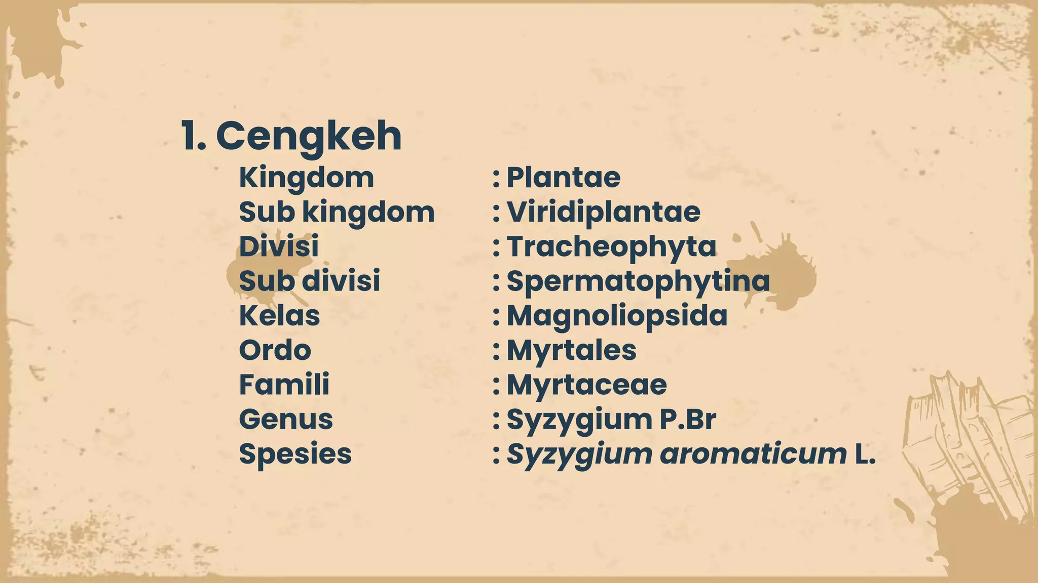 TUGAS BOTANI INDRI.pptx