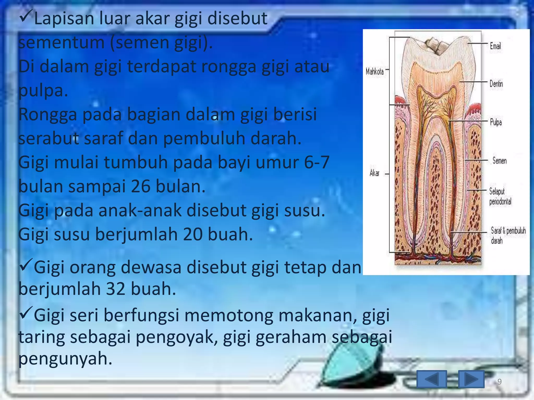 POWER POIN SISTEM PENCERNAAN PADA MANUSIA | PPTX