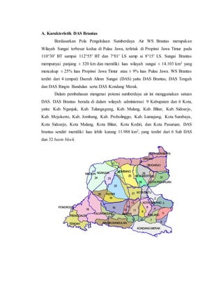 Tugas das brantas fauziyah | DOCX