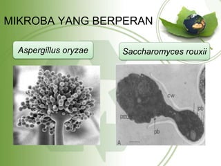 MIKROBIOLOGI KECAP MANIS | PPT