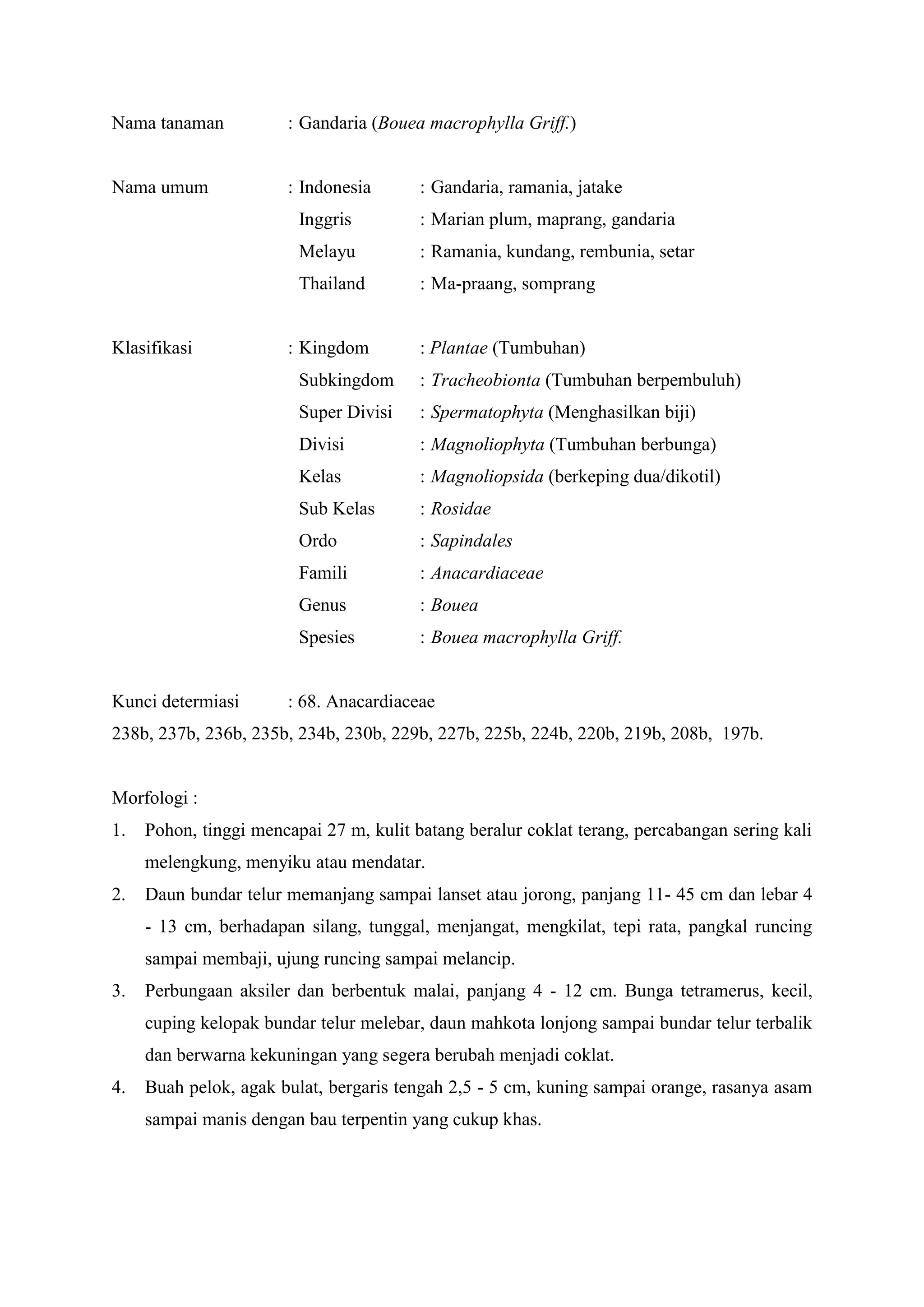 Gandaria | DOCX