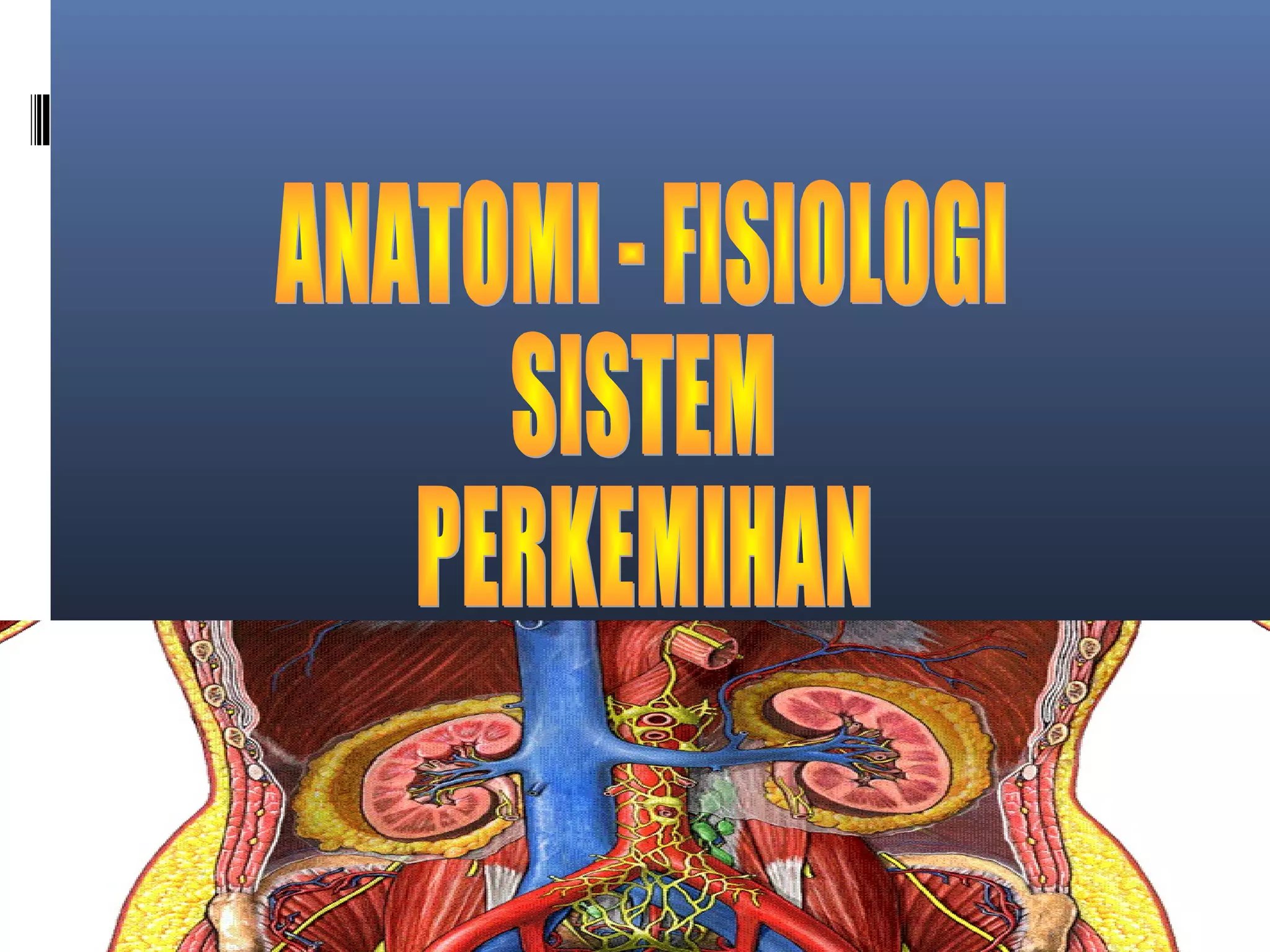 ANATOMI FISIOLOGI SISTEM PERKEMIHAN | PPT