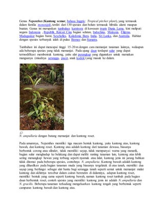 Tugas dewa ipa kelas 6 | DOCX