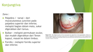 Tugas Divisi IIM_AAO 8 chapter 1_Ardelia.pptx