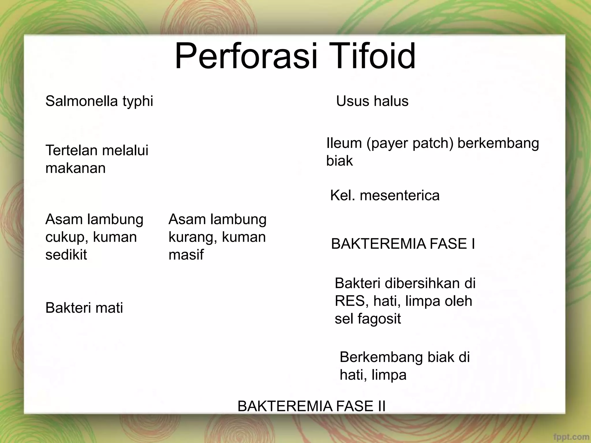 tugas dr.Kukuh SpB skenario 2-2.pptx