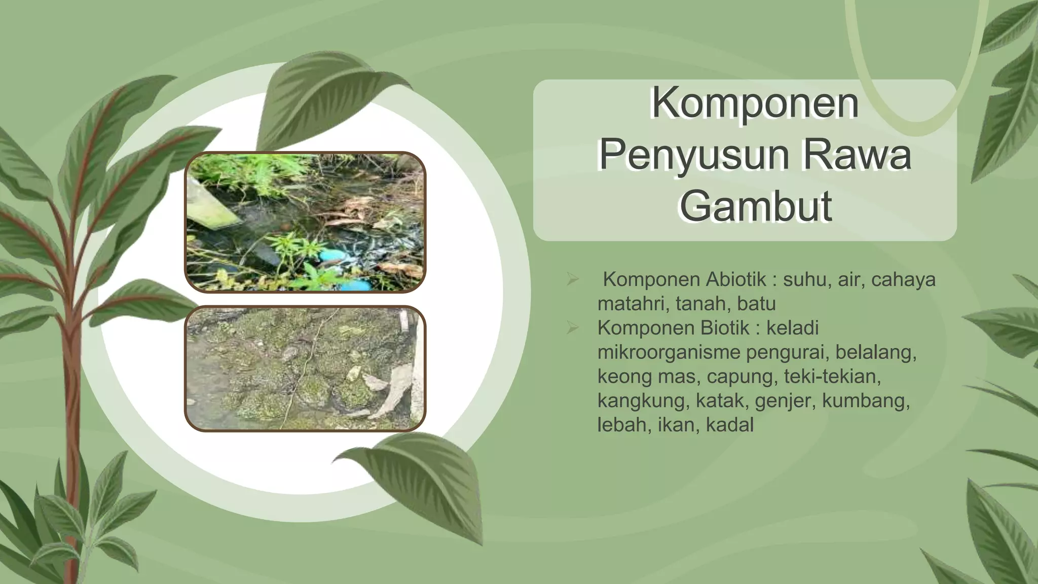 TUGAS EKOLOGI_EKOSISTEM.pptx