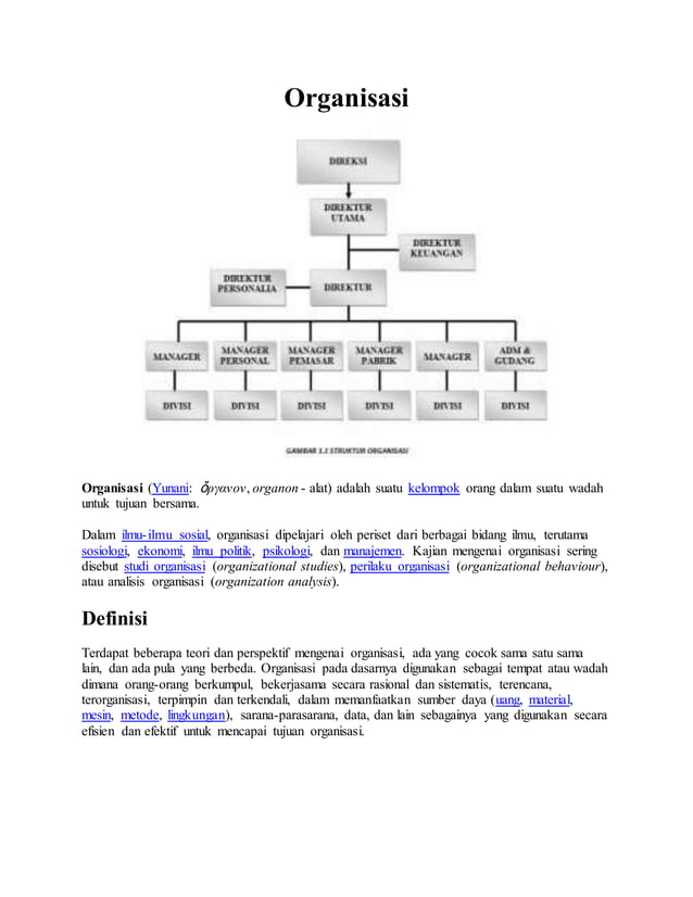 Pengertian Organisasi | PDF