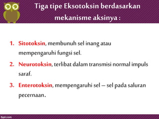 endotoksin dan pirogen | PPTX