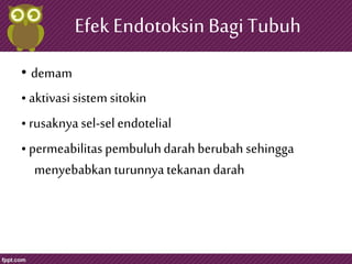 endotoksin dan pirogen | PPTX