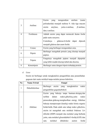 Klasifikasi Enzim Berdasarkan Fungsinya | DOCX