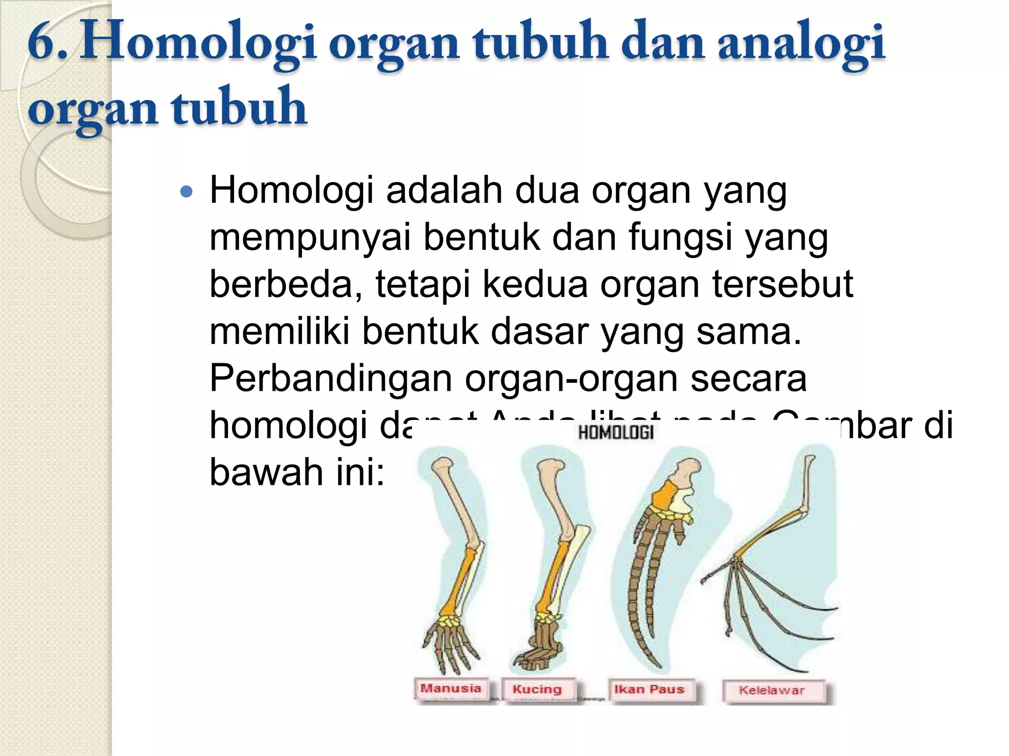 Petunjuk Evolusi | PPTX