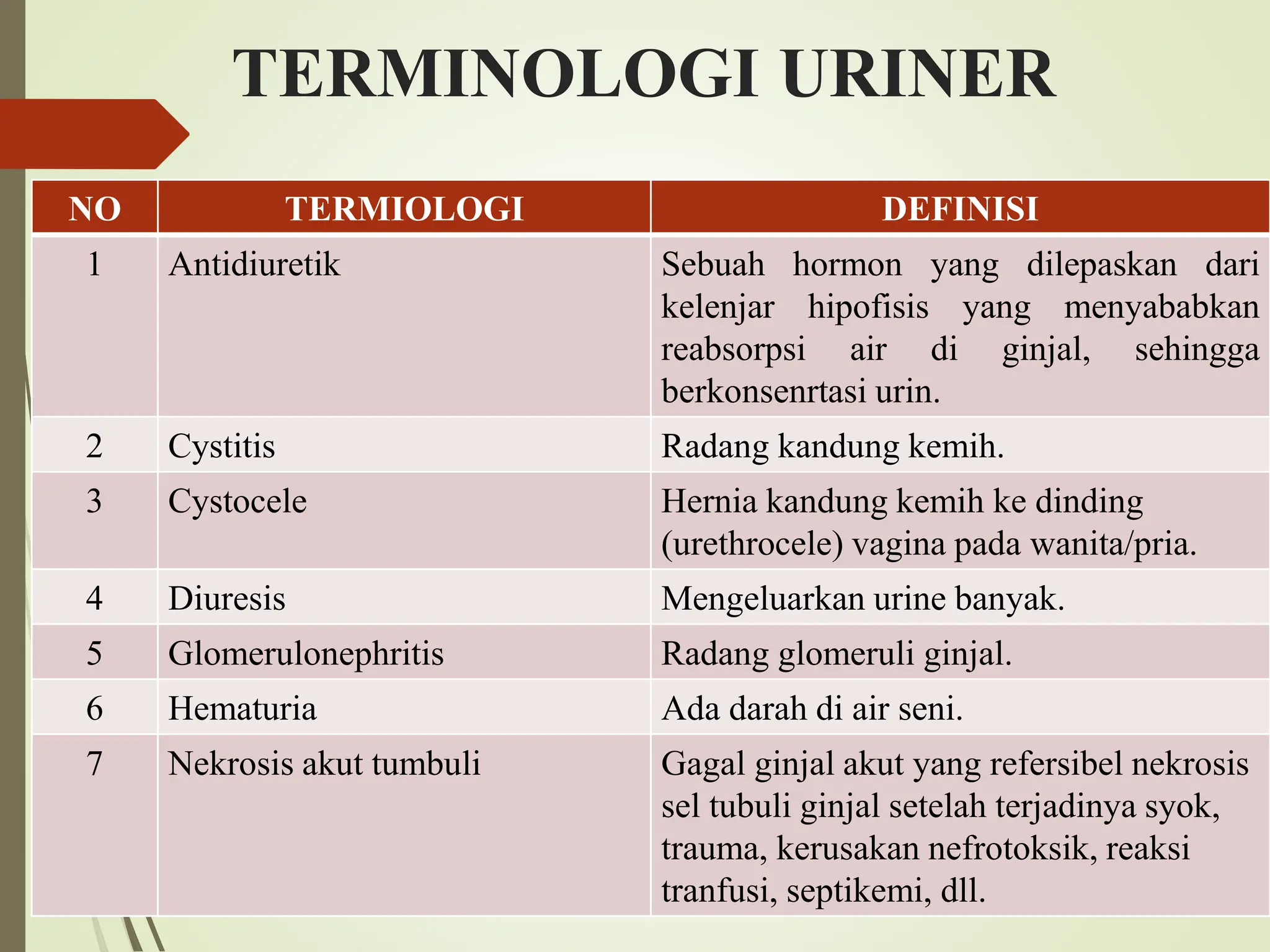 TUGAS FARMASI KLINIK TERMINOLOGI URINER KEL 10 Y.pptx