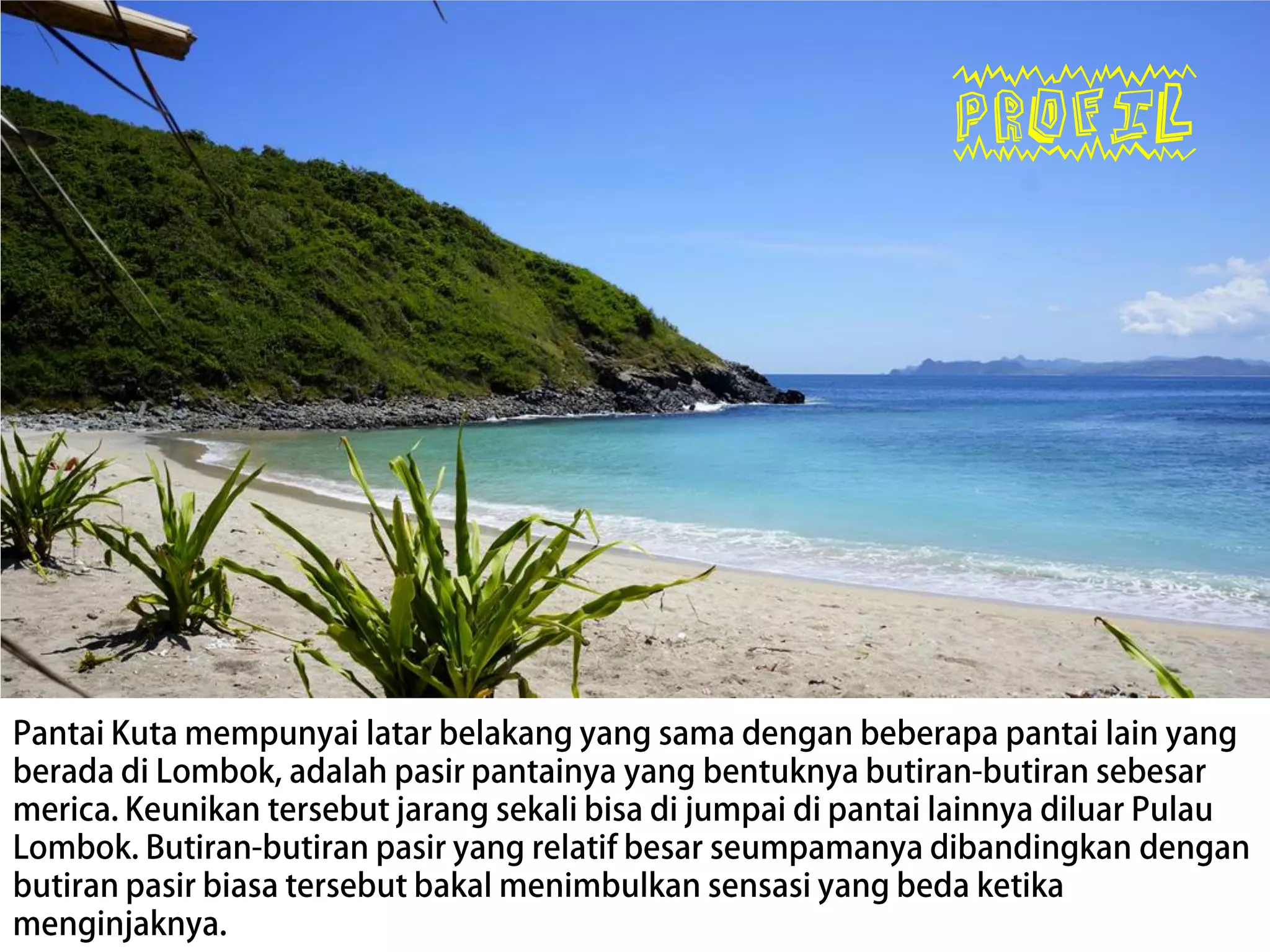 Profil dan Analisis SWOT Pantai Kuta Lombok | PDF