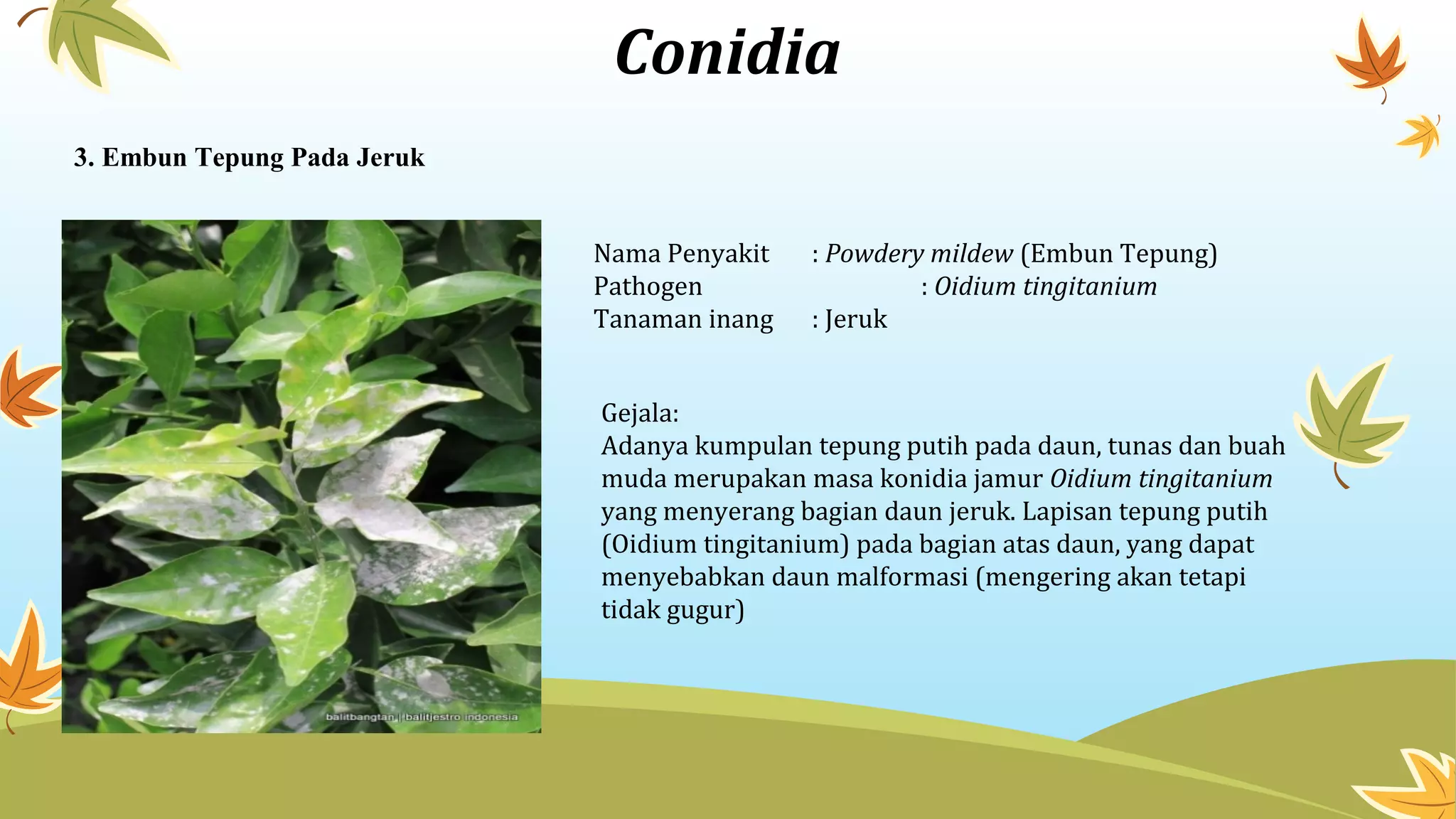 Contoh Gejala dan Tanda penyakit- Muhammad Arifin | PPT