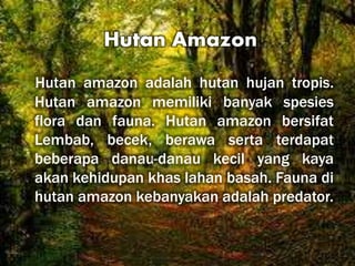 Hutan Amazon(Amerika) dan Hutan Kalimantan (Indonesia) | PPT