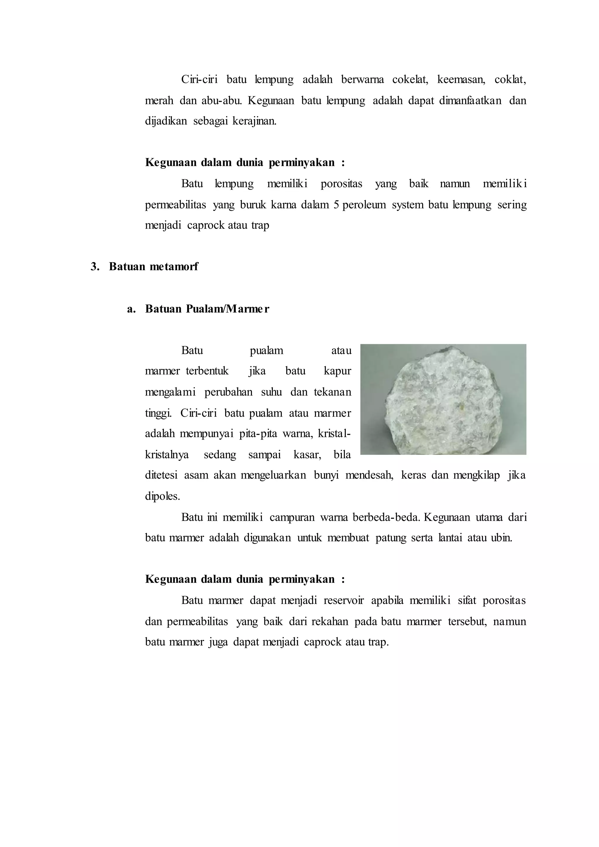 Tugas geologi minyak dan gas bumi | DOCX