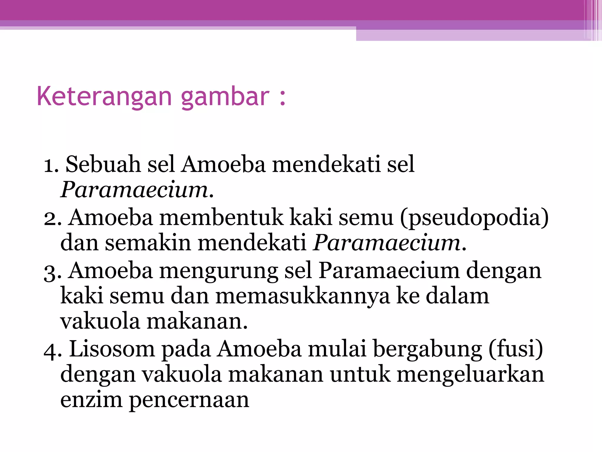 Biomedik dasar | PPT