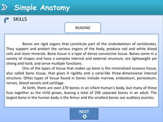 Inside your Body (Simple Anatomy) | PPTX
