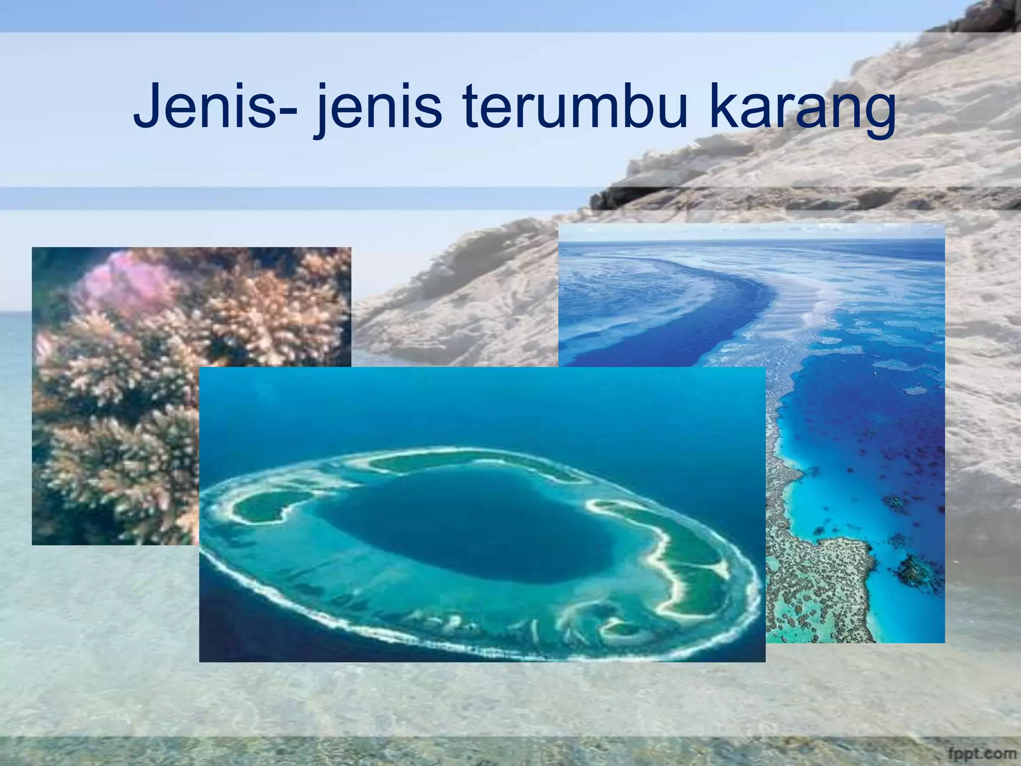 Ekosistem Pantai & Terumbu karang | PPTX