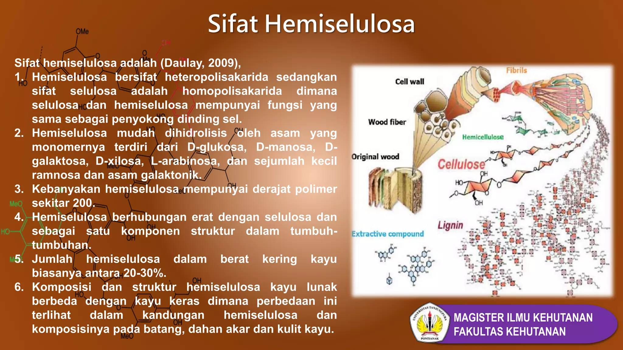 Hemiselulosa.pptx