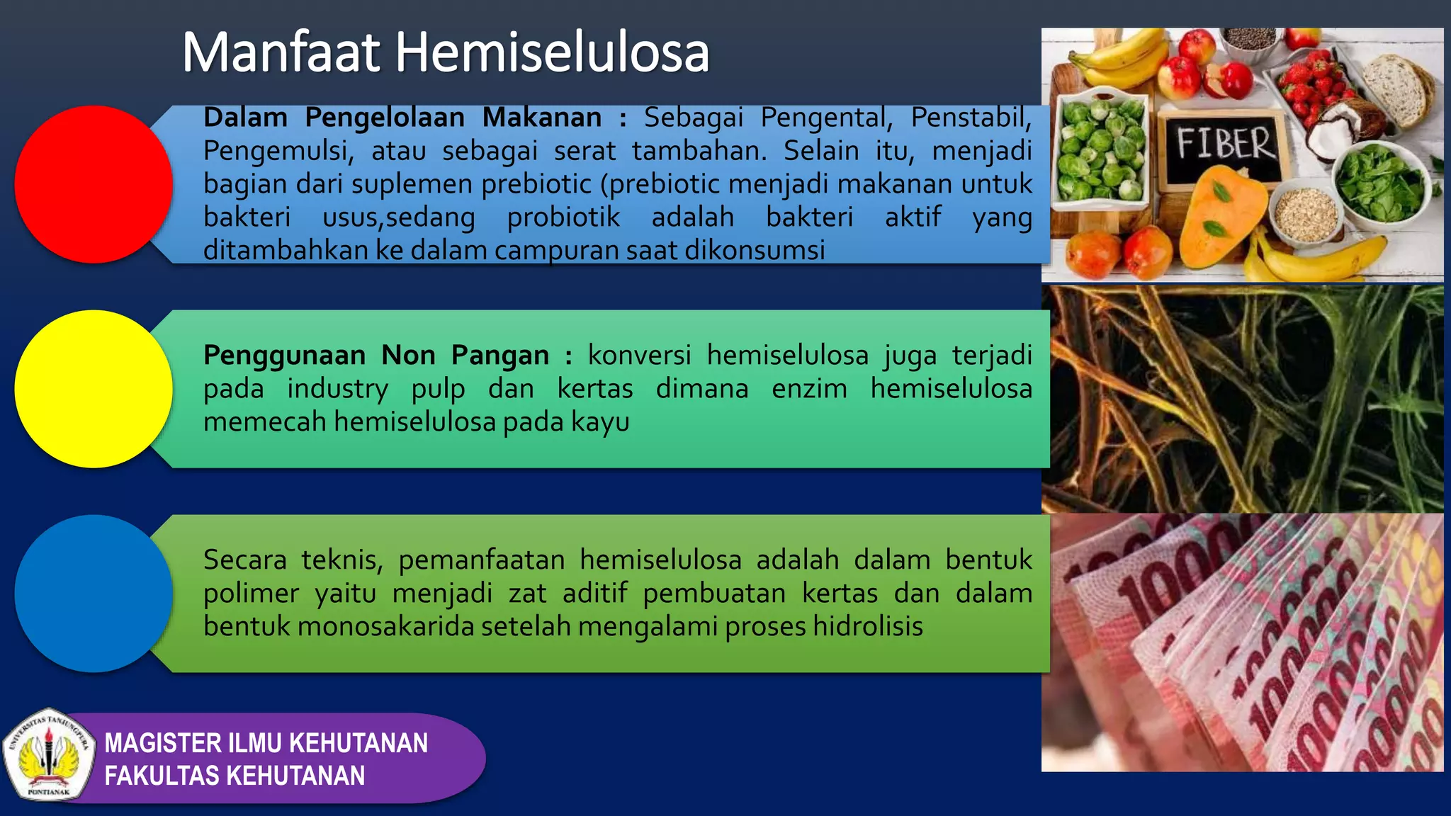 Hemiselulosa.pptx